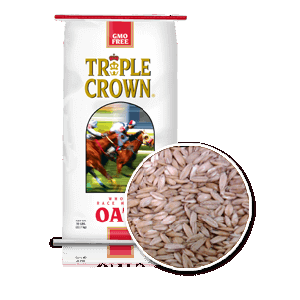Triple Crown - Triple Crown Whole Race Horse Feed Oats 50lb #703948500617